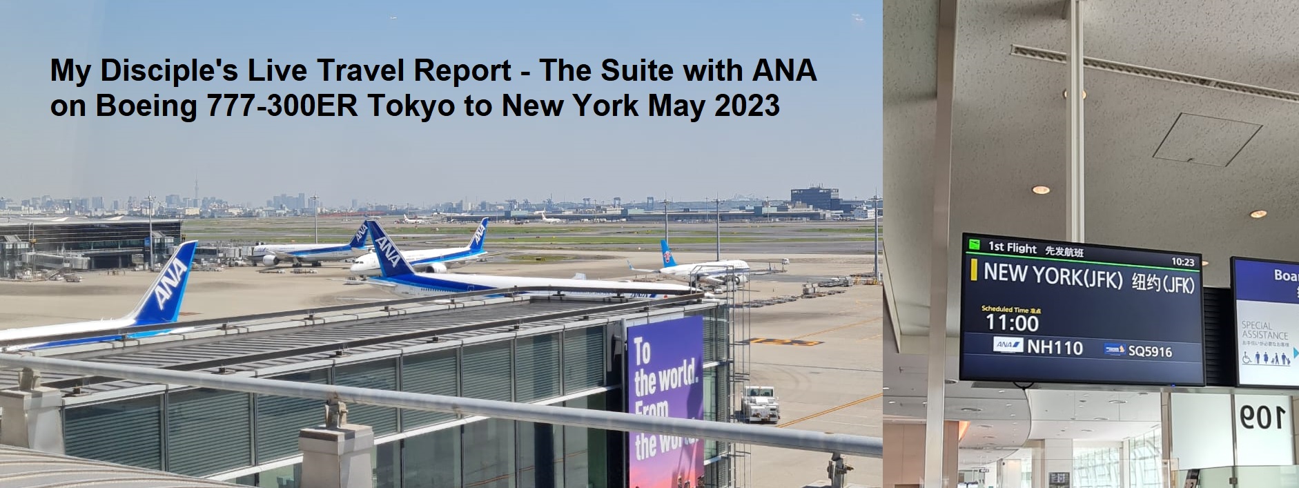 GenX’s Disciple Live Travel Report – ANA First Class “The Suite” on ...